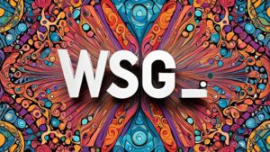 WSG Slang Explained: What Does WSG Mean on TikTok and in Text ...